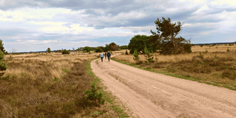 Mooiste NS-wandelingen: 5 wandelroutes van station naar station