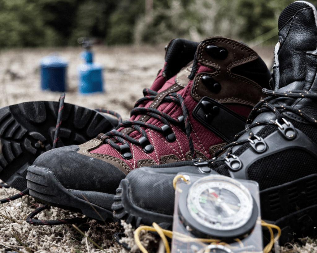Mooiste NS-wandelingen: 5 wandelroutes van station naar station
