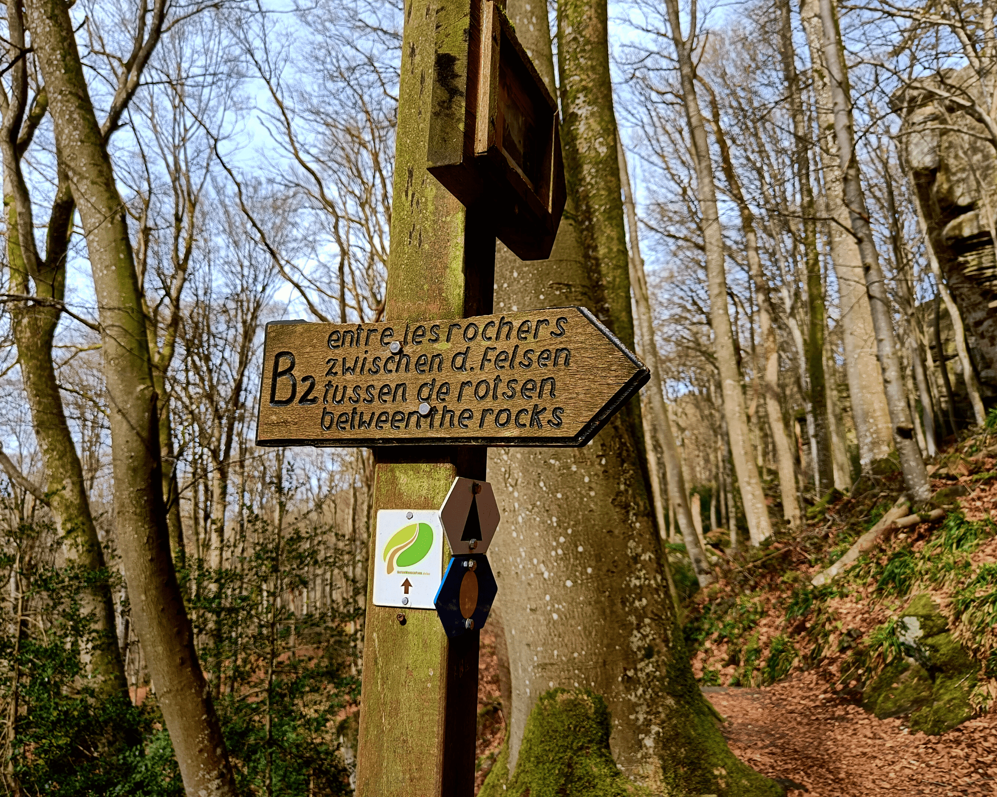 Hiken in Luxemburg: Route B2 in het Mullerthal, Berdorf