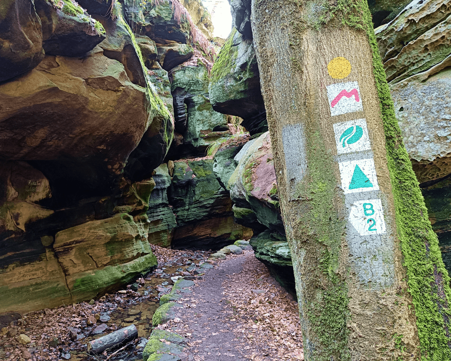 Hiken in Luxemburg: Route B2 in het Mullerthal, Berdorf
