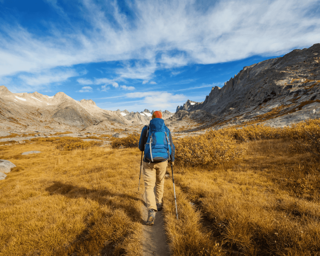 Mooiste NS-wandelingen: 5 wandelroutes van station naar station