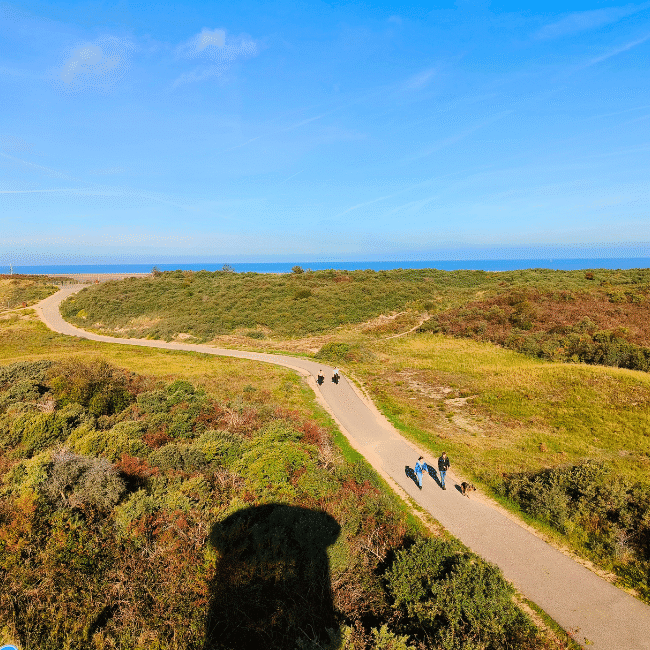 Mooiste NS-wandelingen: 5 wandelroutes van station naar station
